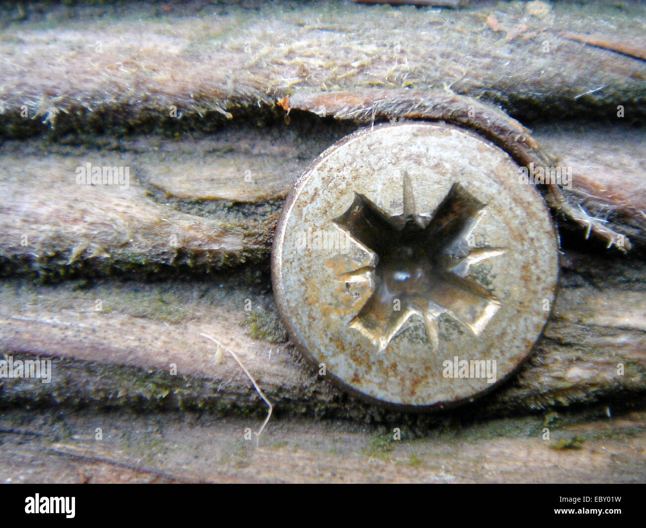 Close up view of a Phillips head screwdriver and threaded metal wood ...