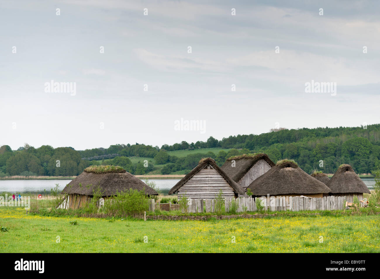 Reconstructed Viking houses with thatched roofs, Hedeby Viking Museum ...