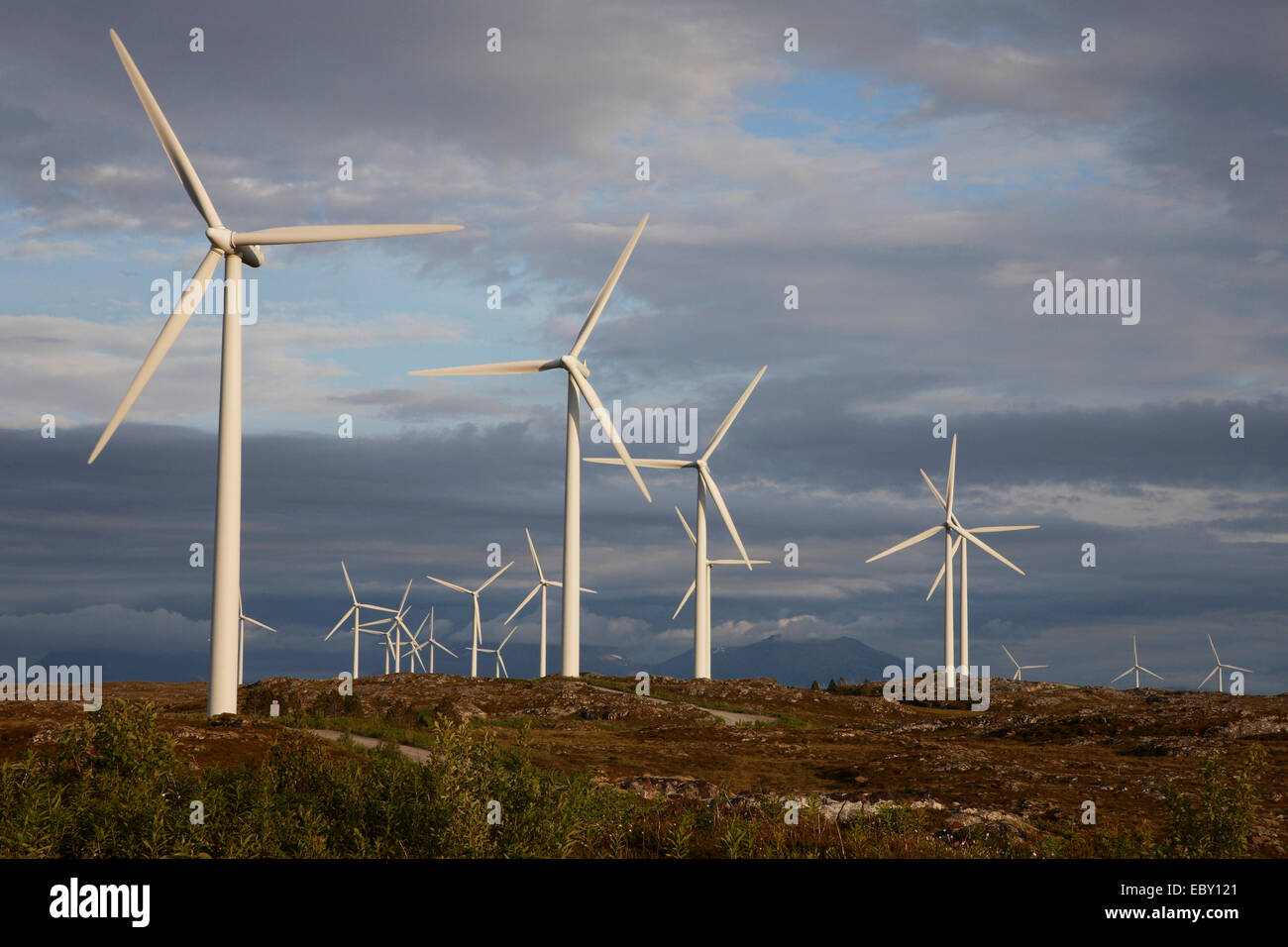 wind energy plant at the island Smola, Norway, Trondelag ...