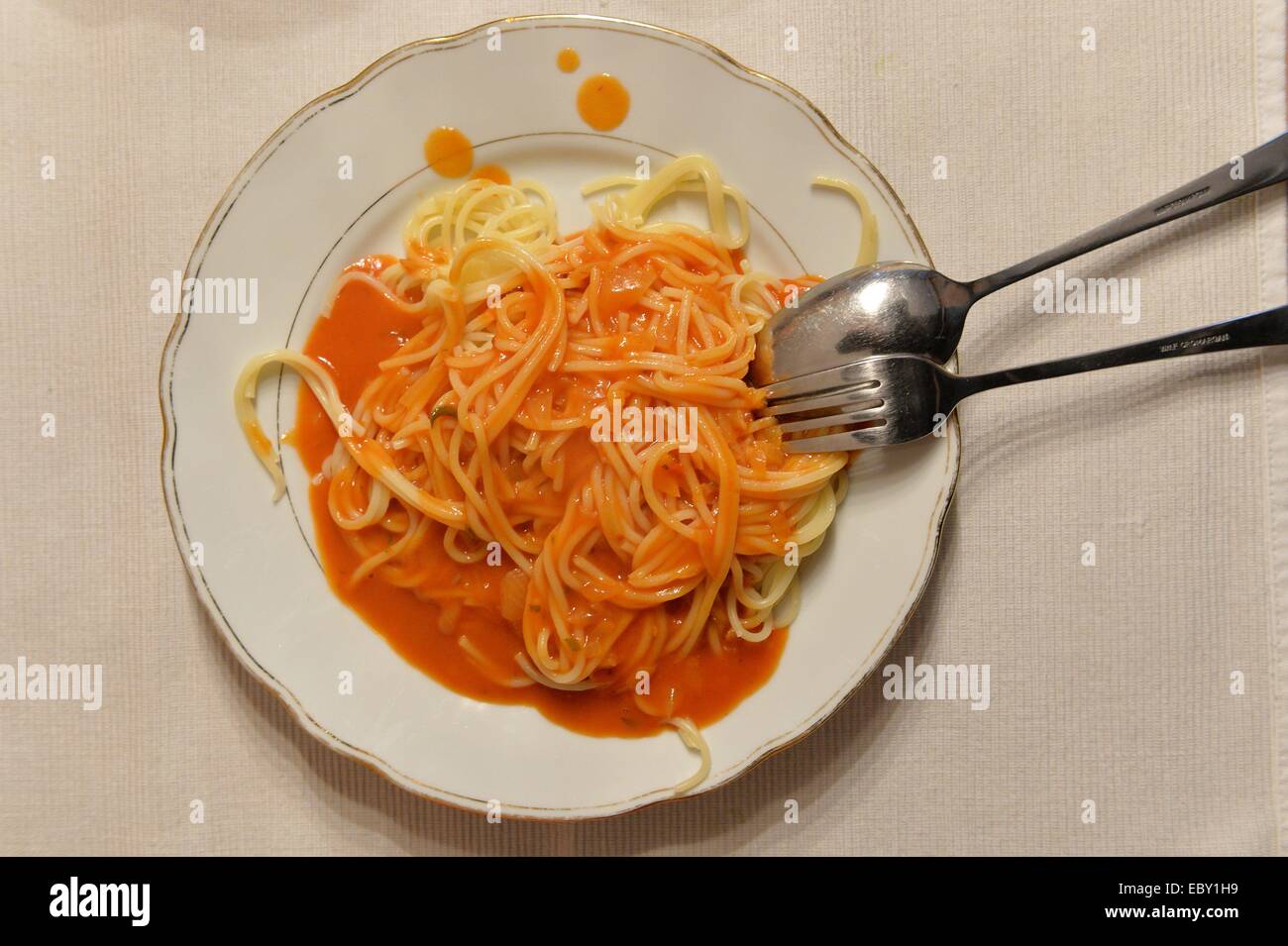Spaghetti with fork and spoon on a plate, Germany, City of Osterode, 3 ...