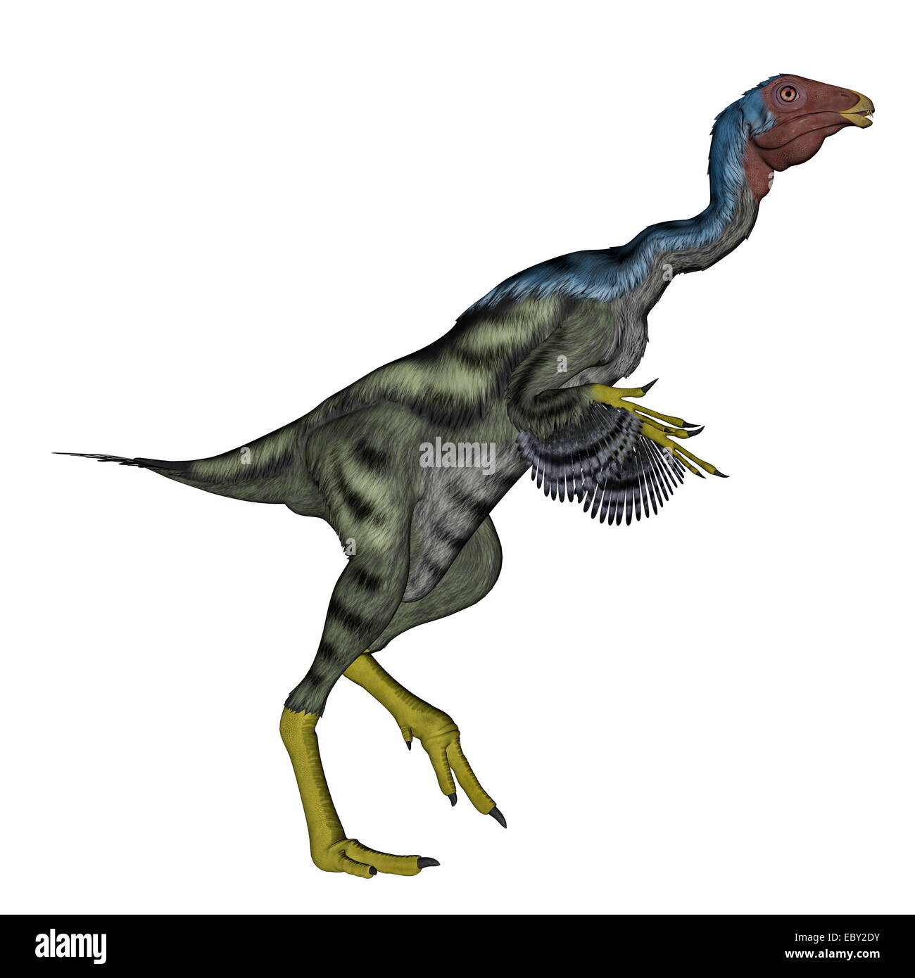 Caudipteryx dinosaur walking in white background- 3D render Stock Photo ...