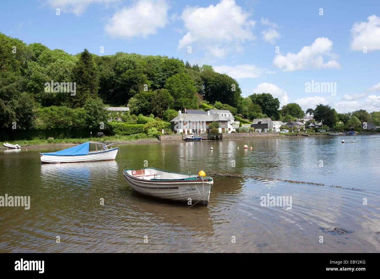 Lerryn stepping stones hi-res stock photography and images - Alamy