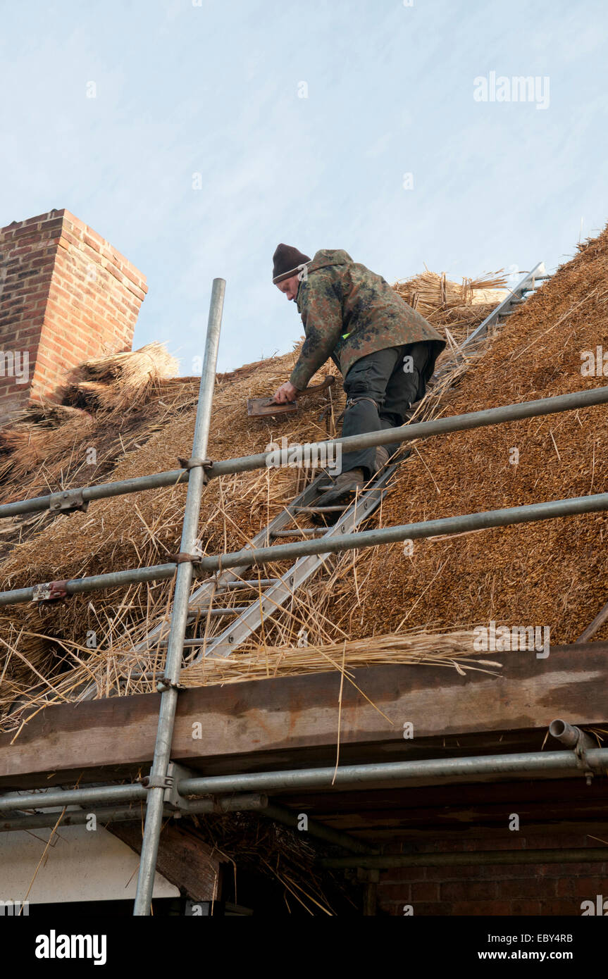 Master thatcher hi-res stock photography and images - Alamy