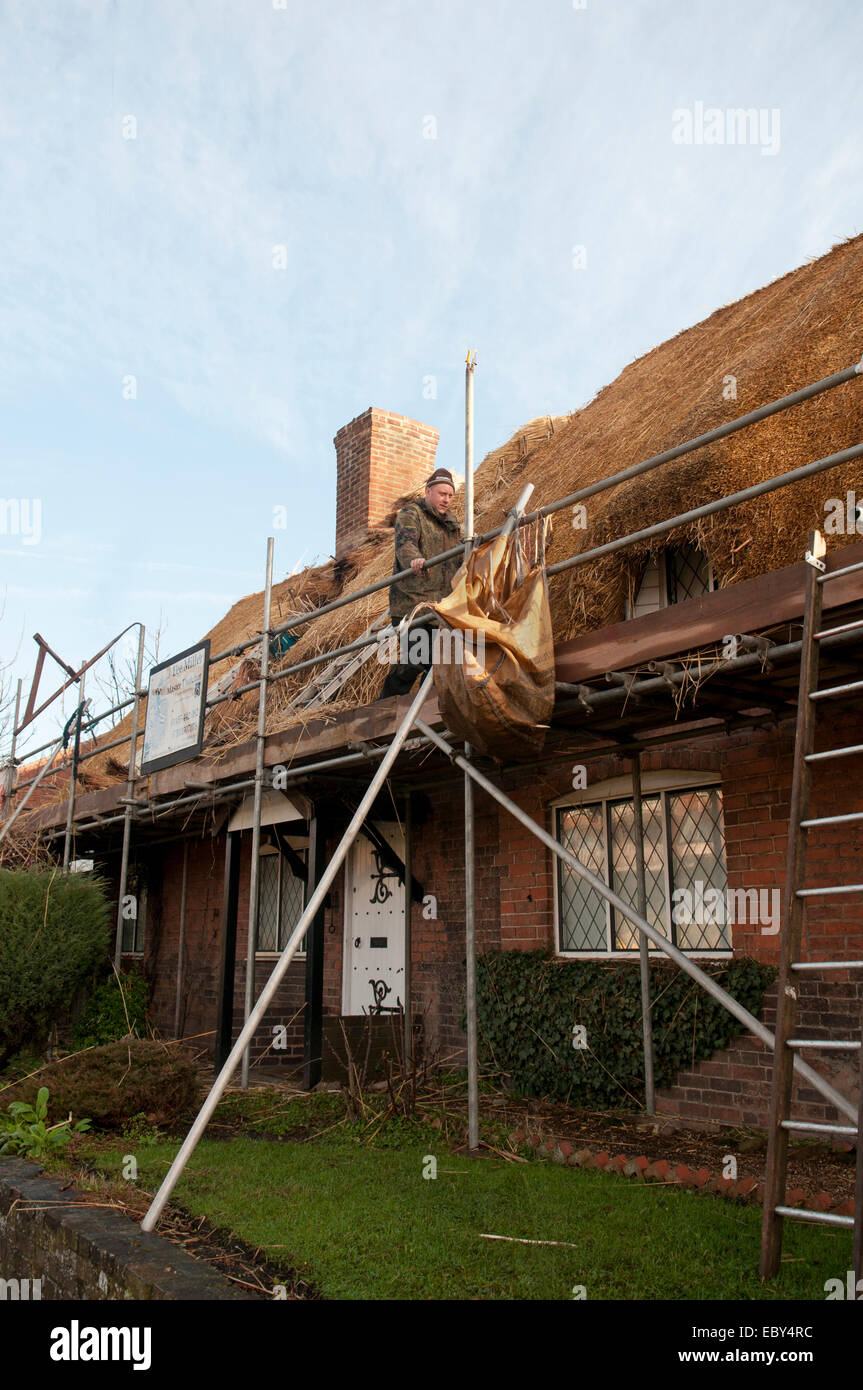 Lee Miller Master Thatcher thatching roof Stock Photo - Alamy