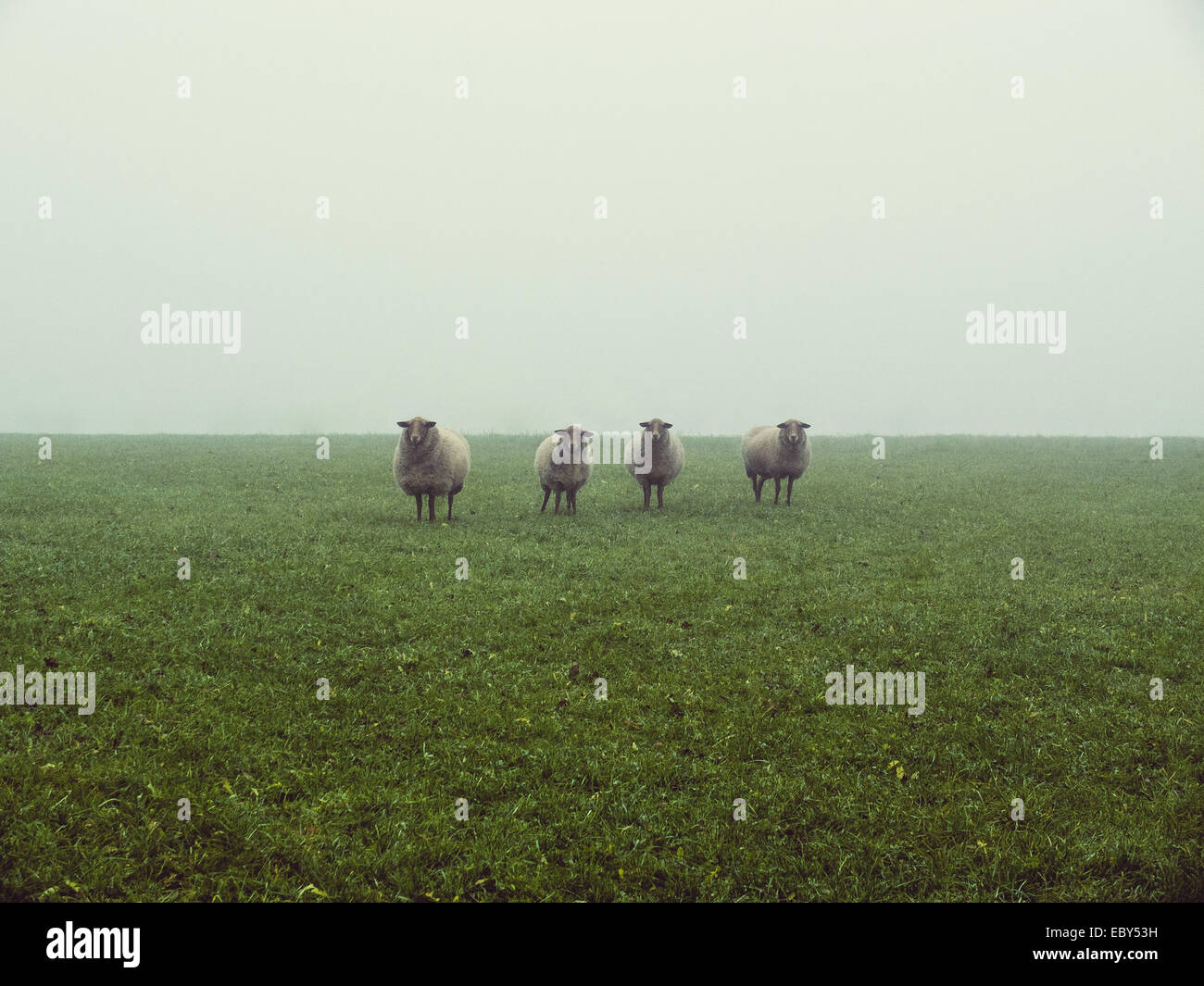 Four by four by far hi-res stock photography and images - Alamy