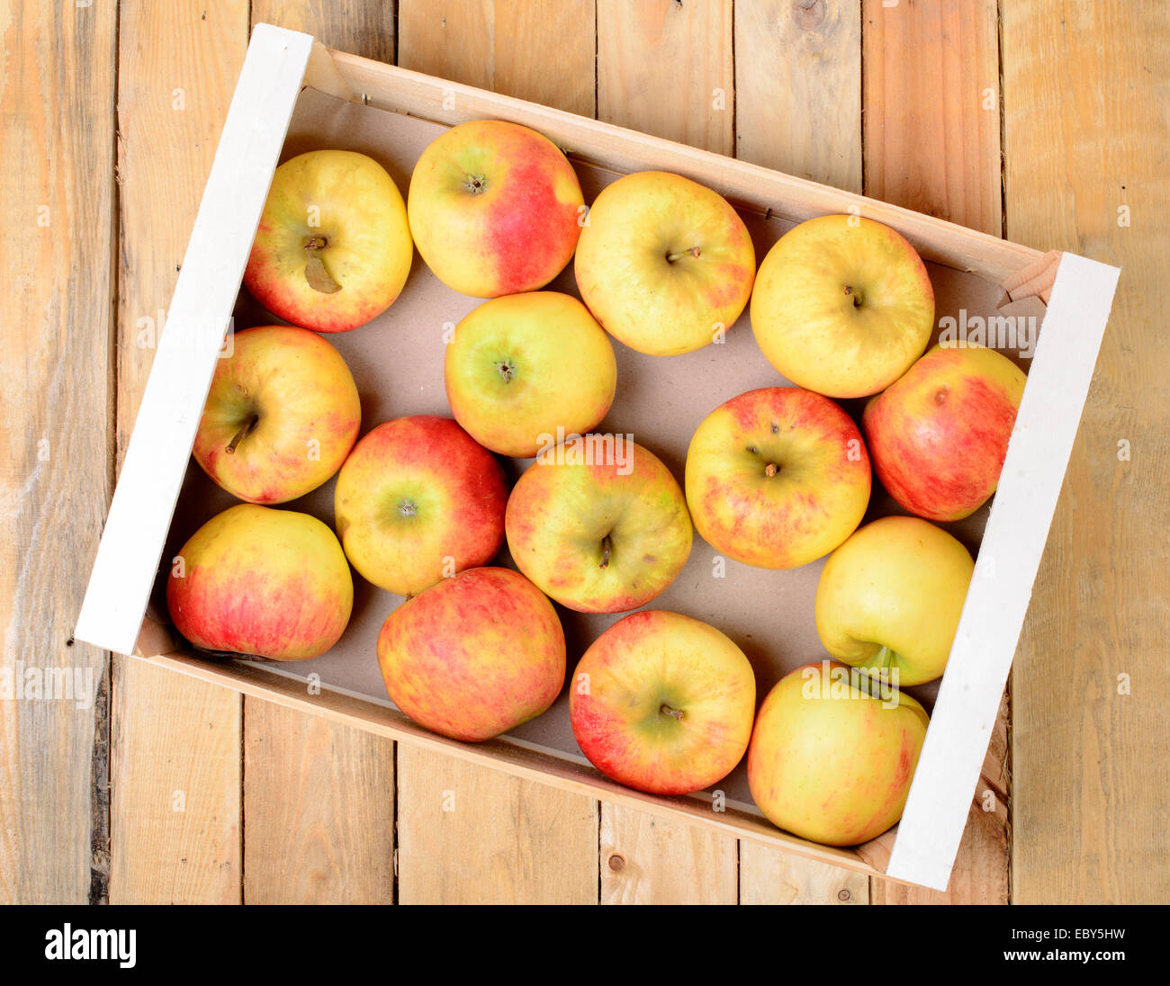 Small garden storage box hi-res stock photography and images - Alamy