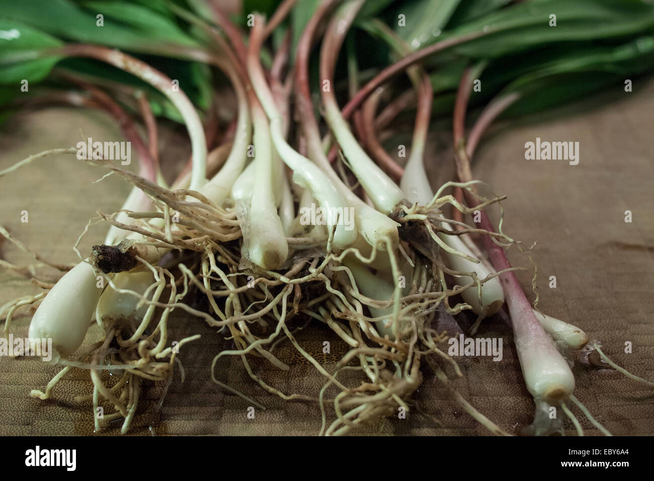 Ramps vegetable hi-res stock photography and images - Alamy