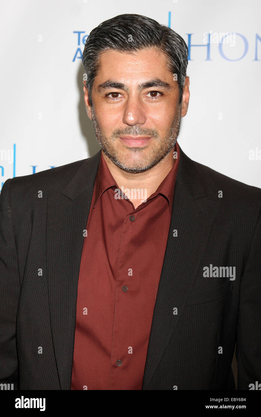 The 7th Annual Television Academy Honors held at SLS Hotel - Arrivals ...
