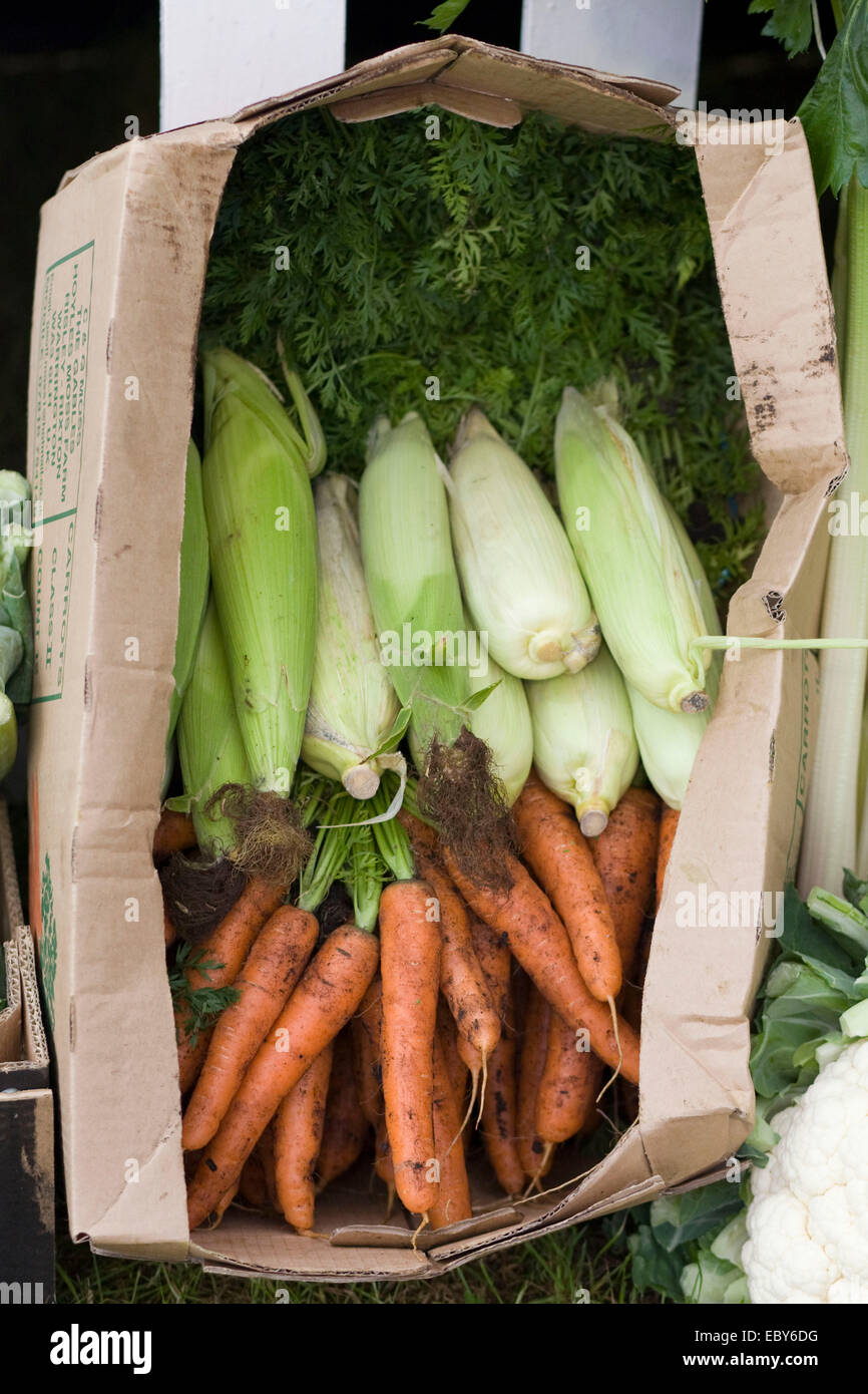 Vegetable Harvest Box Stock Photo - Alamy
