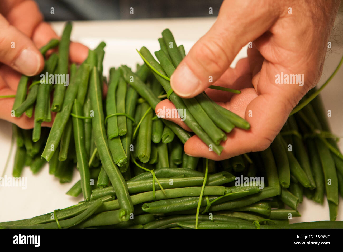 Two hands holding green beans bundled and tied with chives Stock Photo ...