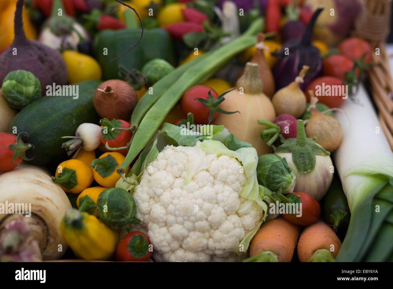 Vegetable Display for a Harvest Basket Stock Photo - Alamy