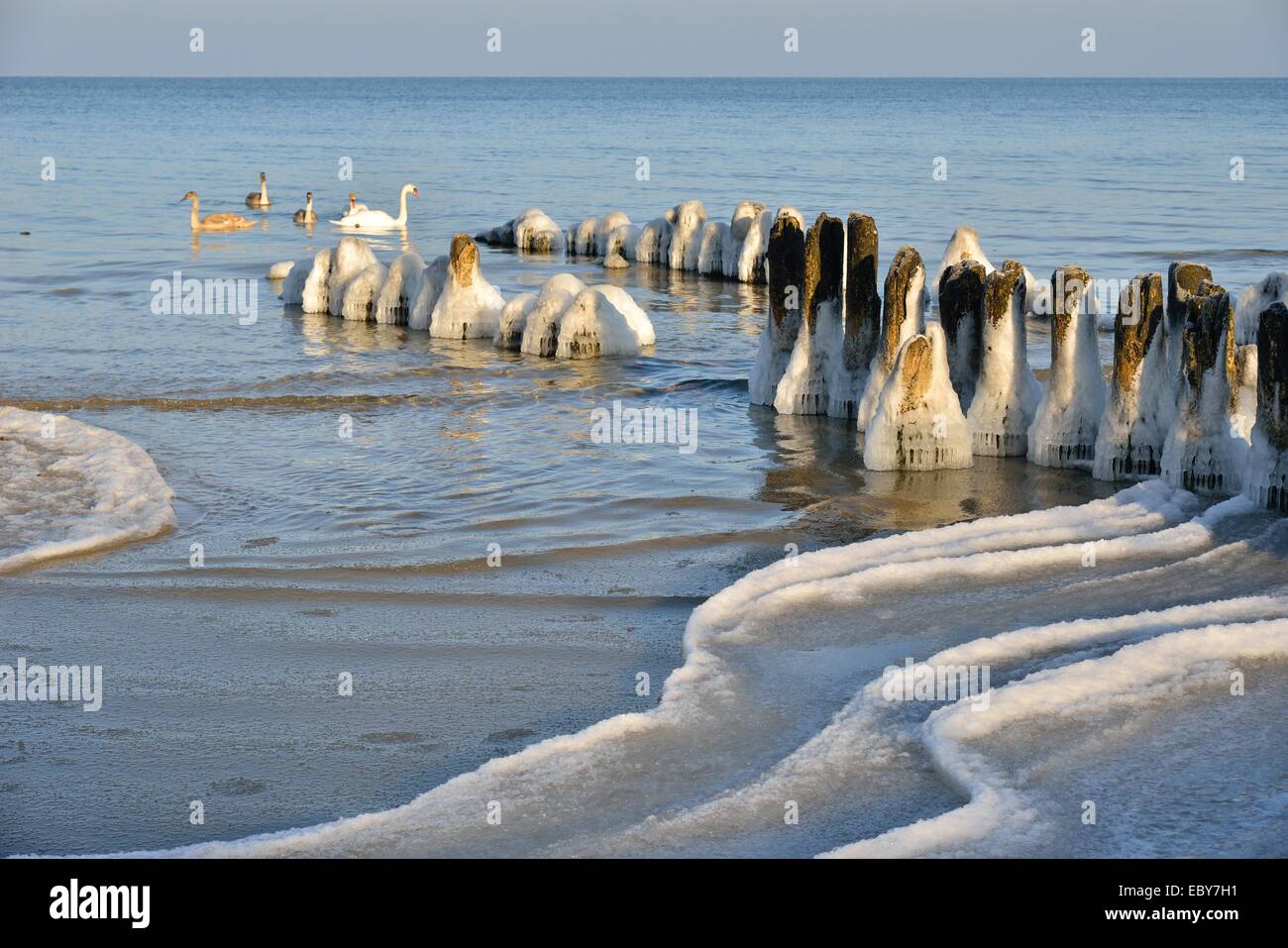 Winter Baltic sea beach, ice covered Stock Photo - Alamy