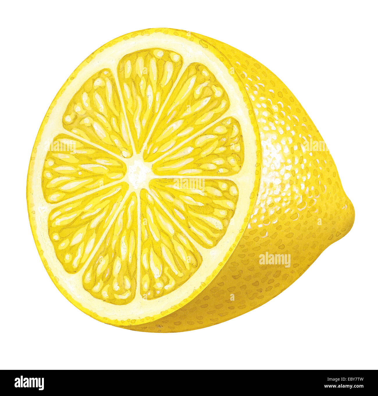 Lemon Piece Illustration Stock Photo - Alamy