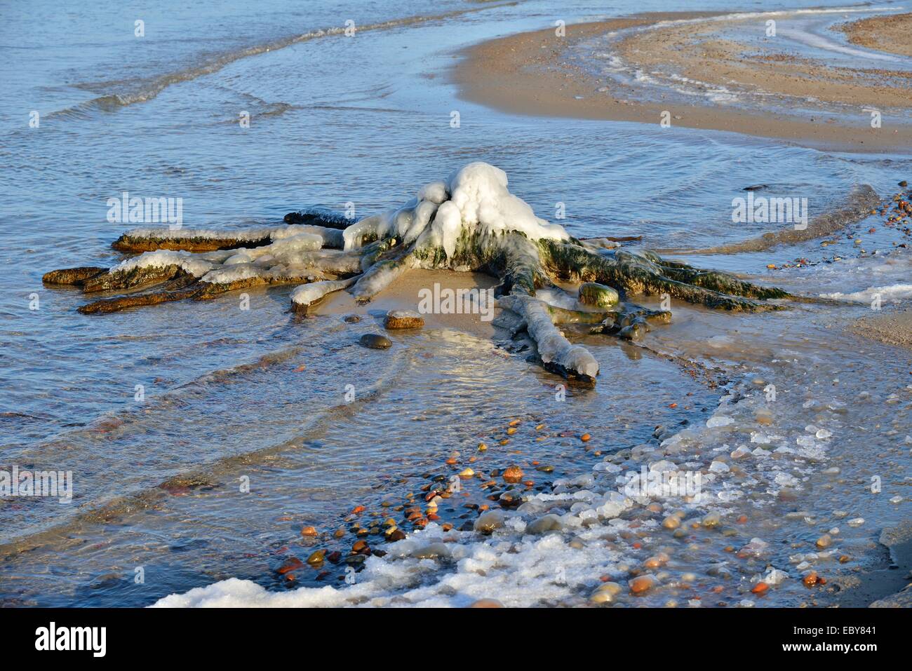 Winter Baltic sea beach, ice covered Stock Photo - Alamy