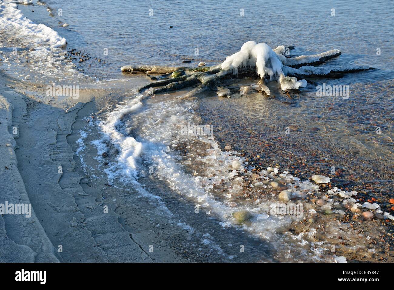 Winter Baltic sea beach, ice covered Stock Photo - Alamy