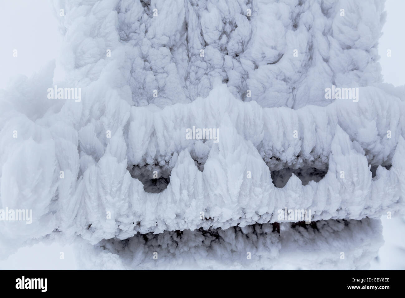 Snow crown hi-res stock photography and images - Alamy