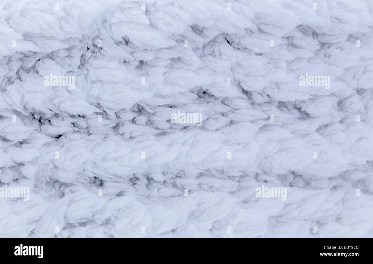 Snow leaves hi-res stock photography and images - Alamy