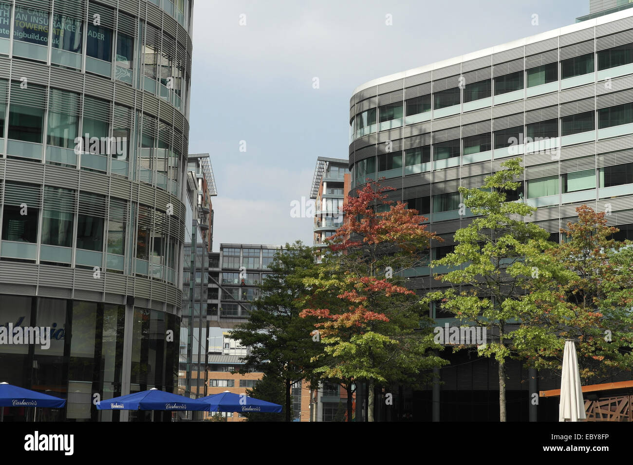 Sunny view, towards '4 Hardman Square', autumn trees rising in front of ...