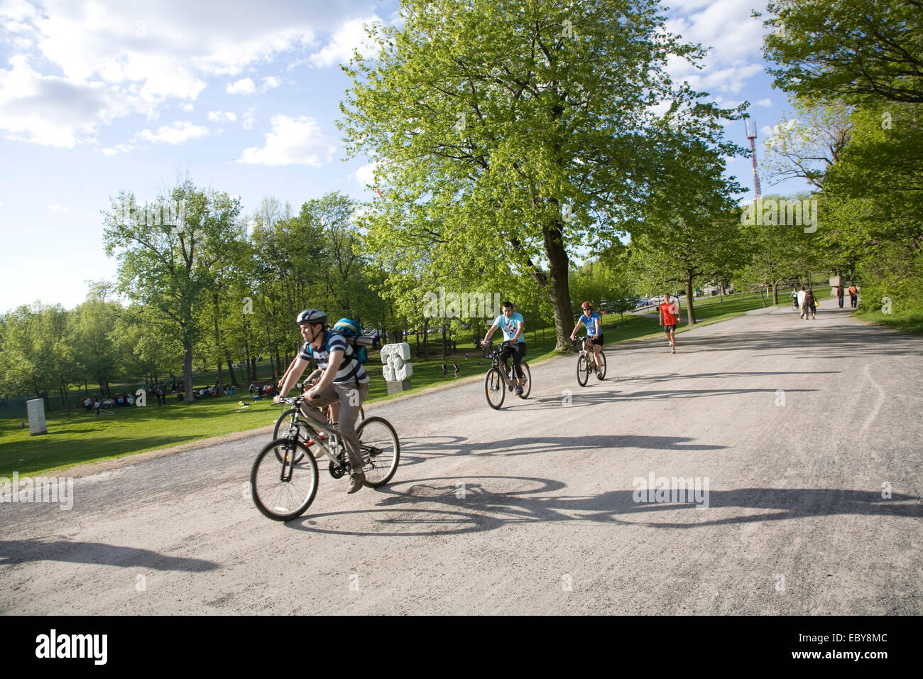 Biking, Mont Royal park, Montreal, Quebec Provence, Canada Stock Photo ...