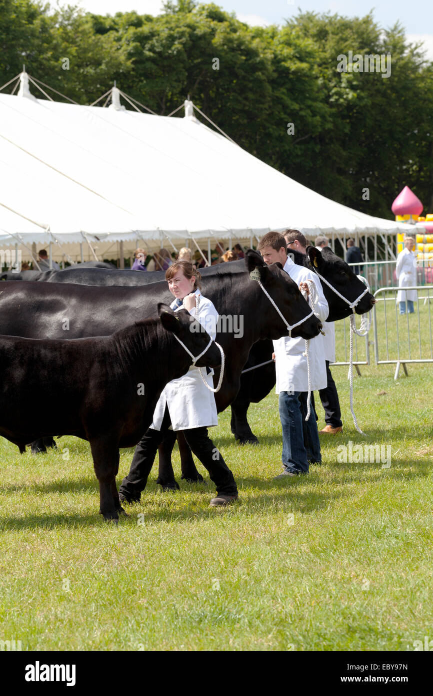 Being shown hi-res stock photography and images - Alamy