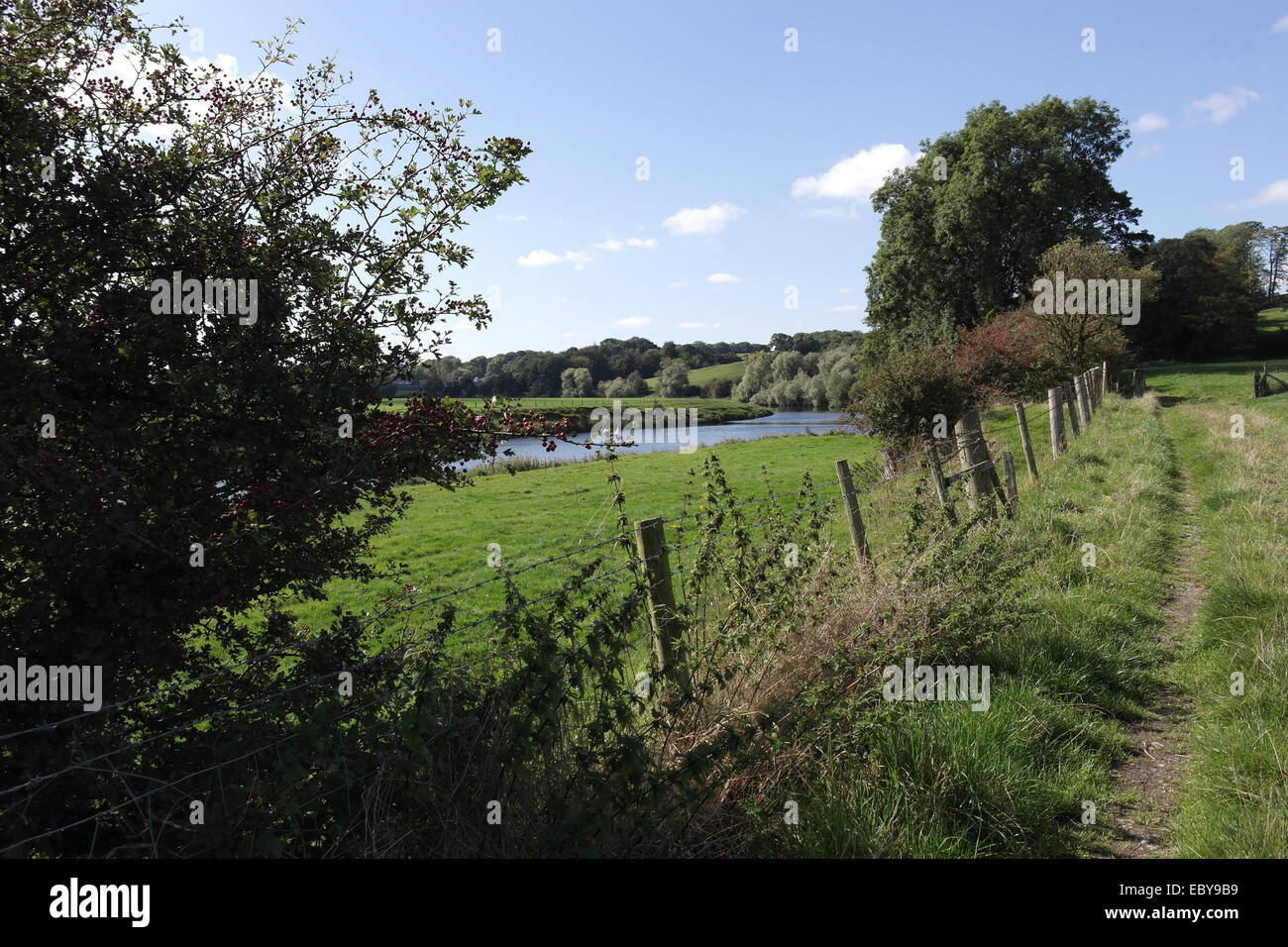 Blue sky rural view Ribble Way footpath alongside fence by edge of ...