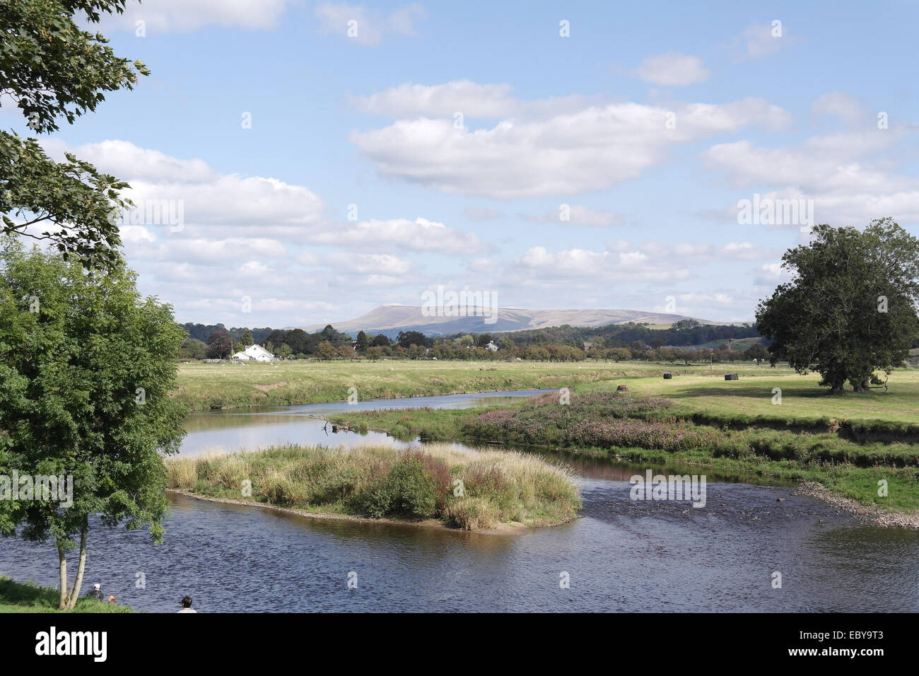 Blue sky white cumulus clouds view, between trees to Pendle Hill, River ...