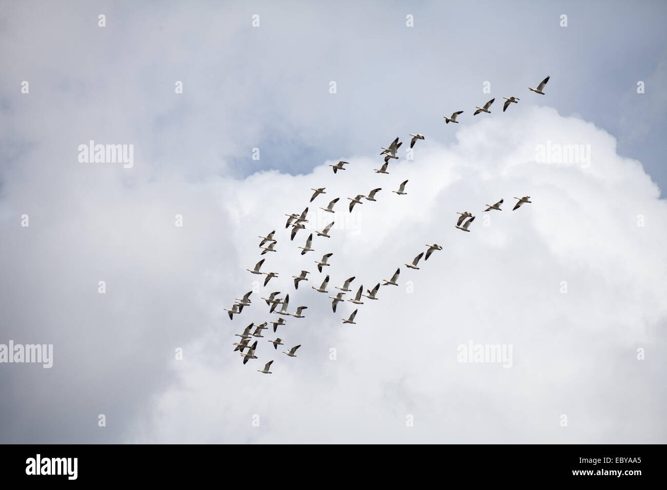 Flying north hi-res stock photography and images - Alamy
