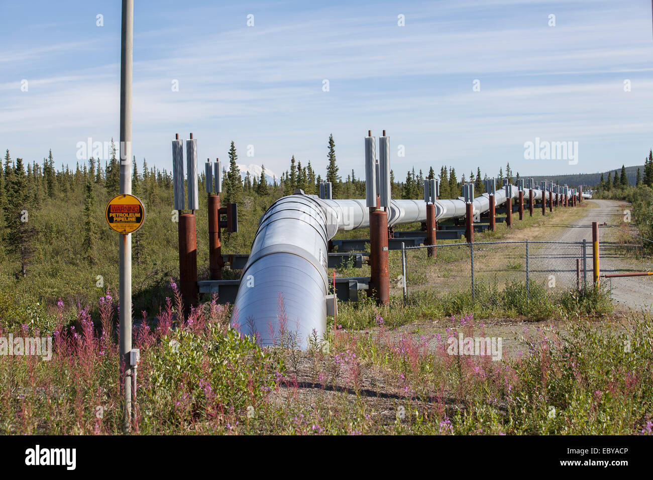 Alaska gas pipeline hi-res stock photography and images - Alamy