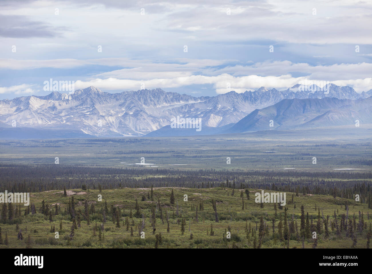 Mountains in Denali National Park, Alaska, USA Stock Photo - Alamy