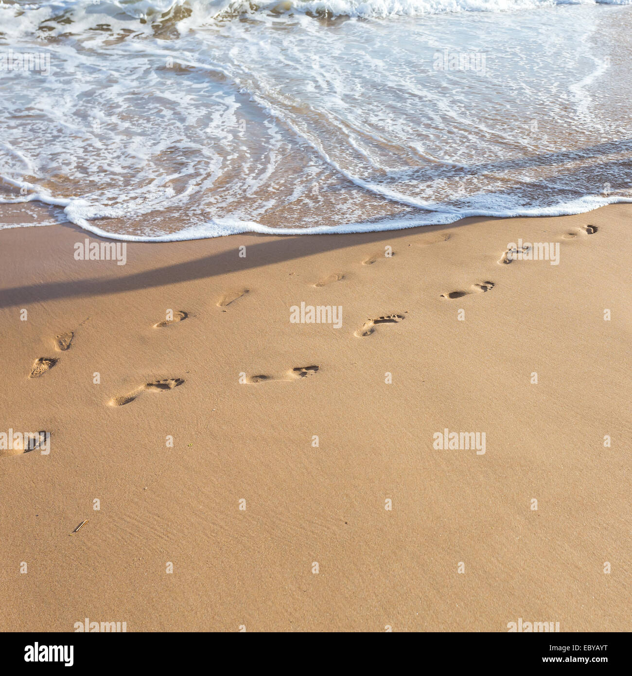 Small footprints hi-res stock photography and images - Alamy