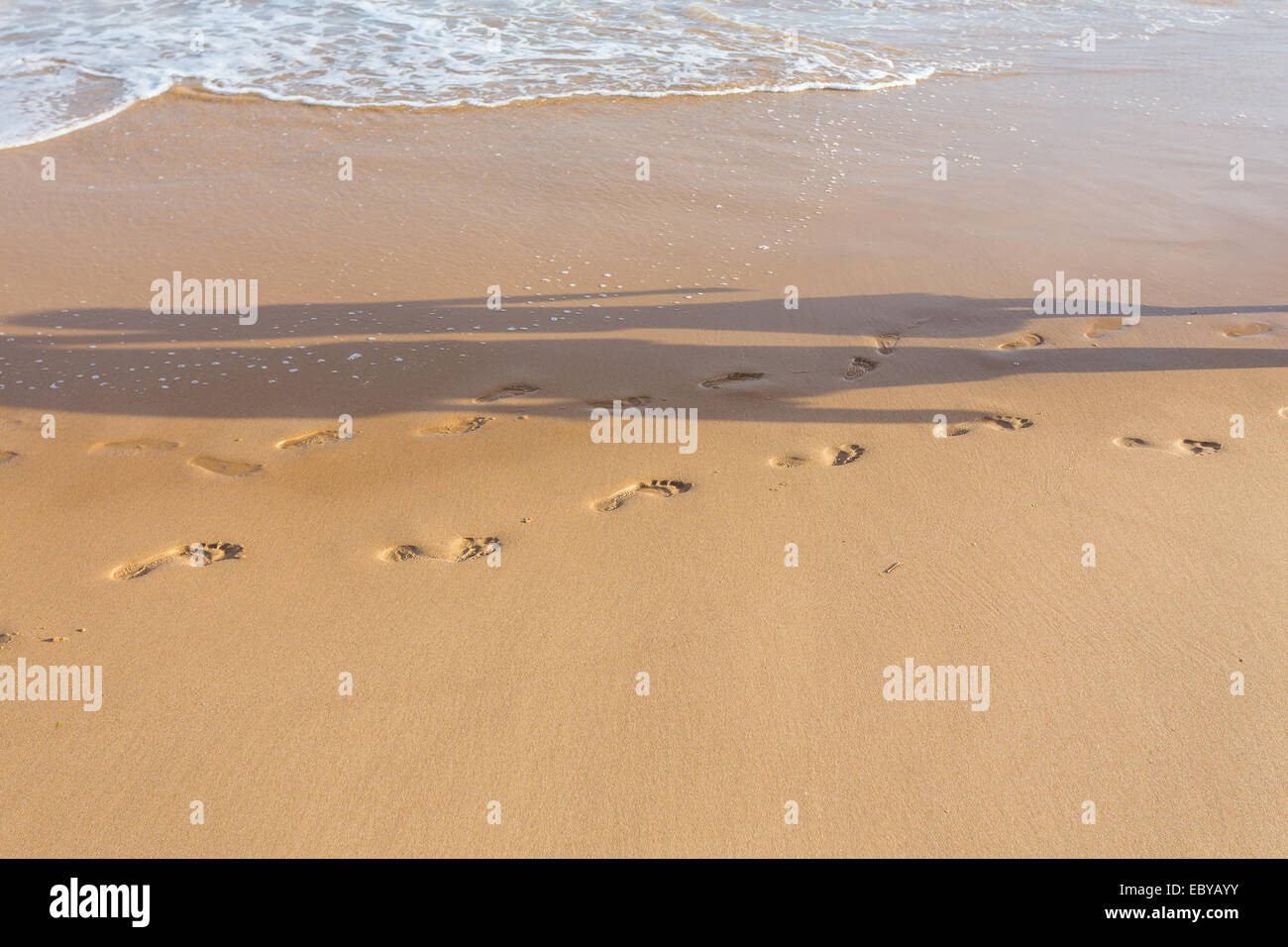 Small footprints hi-res stock photography and images - Alamy