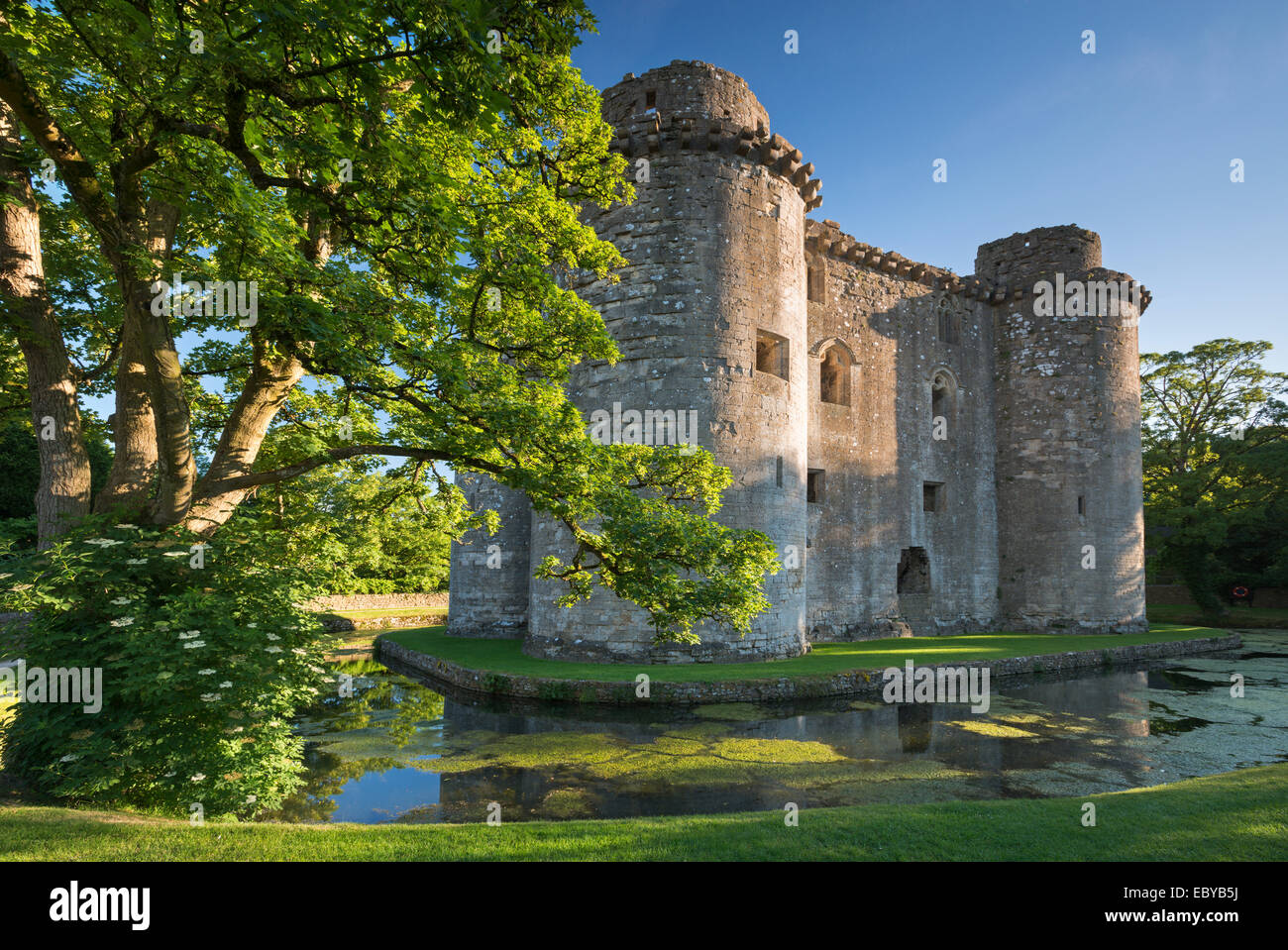 Nunney Castle and moat in the village of Nunney, Somerset, England ...