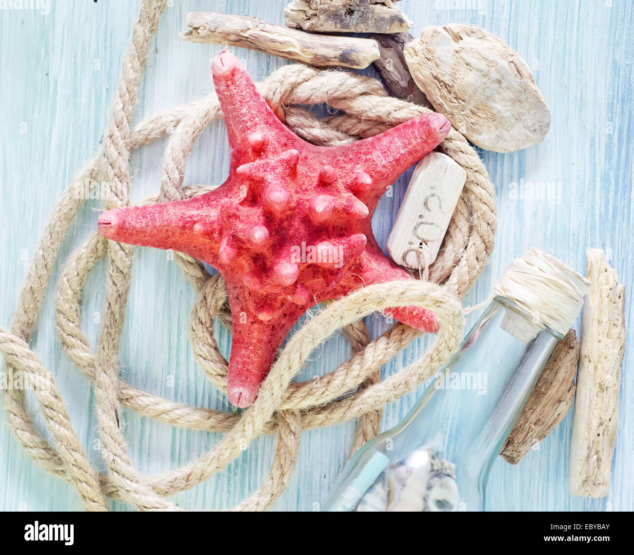 sea shells on blue background Stock Photo - Alamy