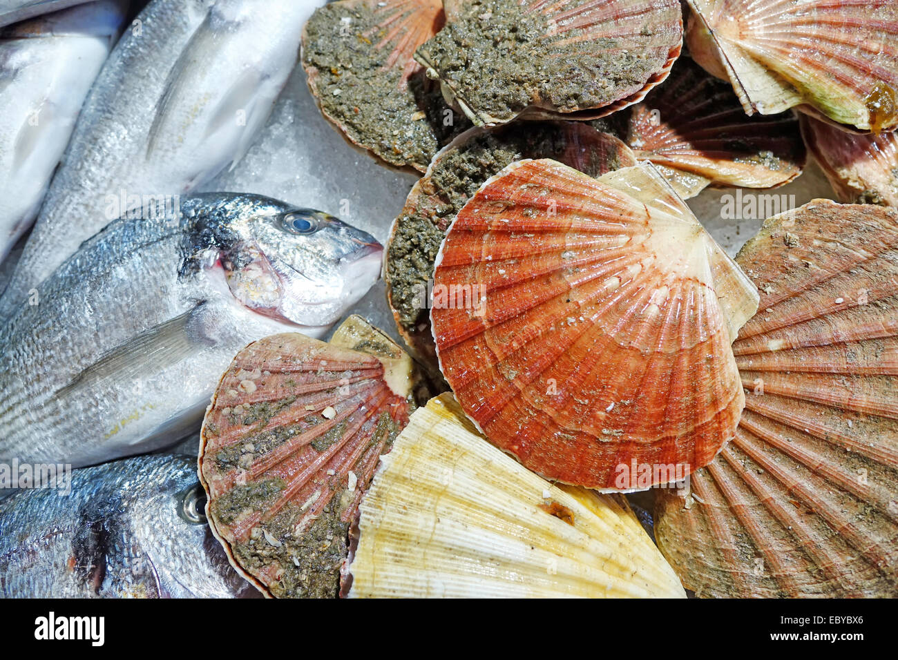 Clam fish market hi-res stock photography and images - Alamy