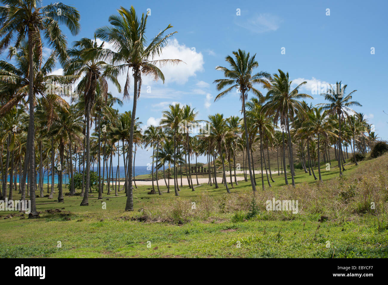 Easter Island aka Rapa Nui, Rapa Nui National Park, UNESCO World ...