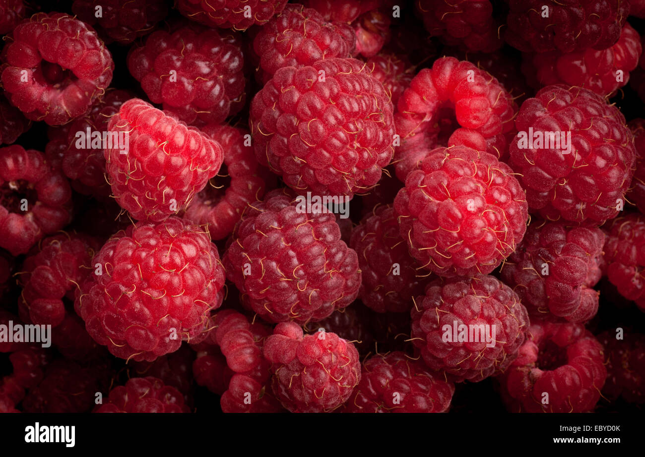 Raspberry fruit background Stock Photo - Alamy