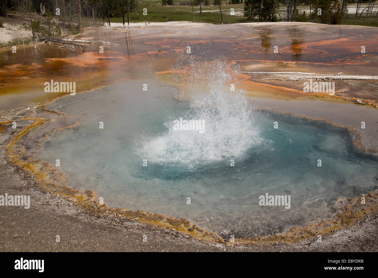 Firehole spring yellowstone hi-res stock photography and images - Alamy