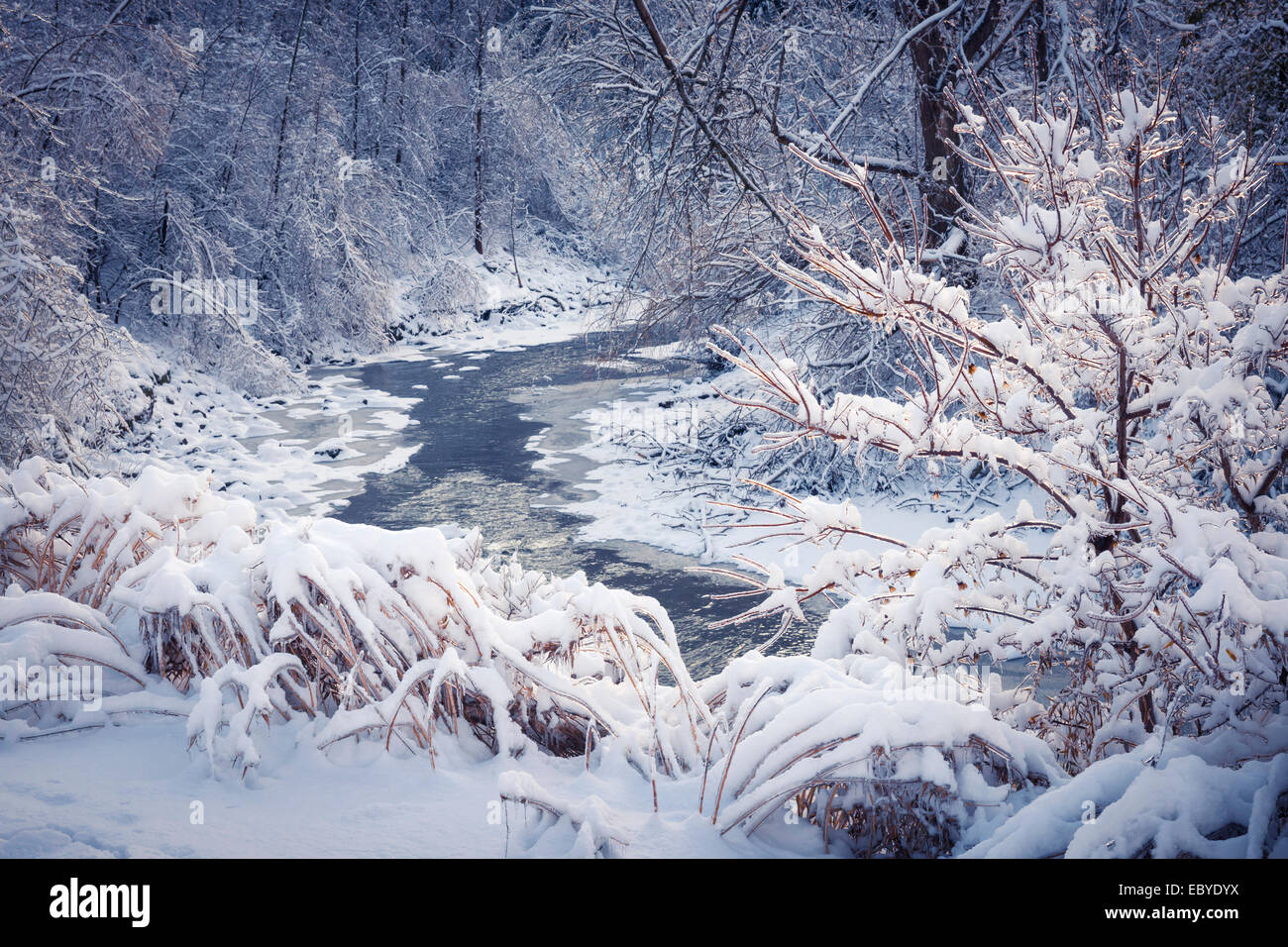 Ontario winter snowy landscapes hi-res stock photography and images - Alamy