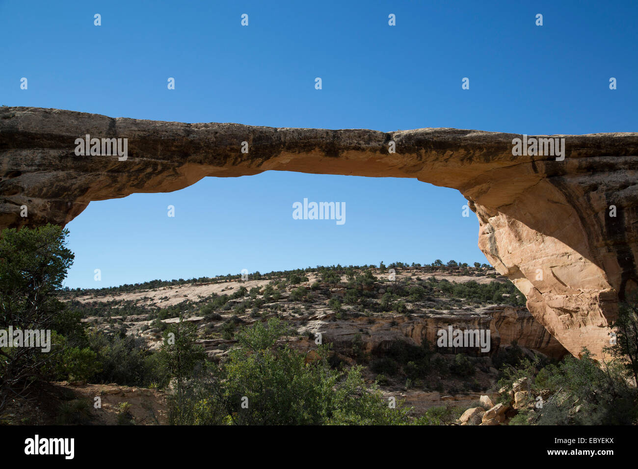 USA, Utah, Natural Bridges National Monument, Owachomo Bridge Stock ...