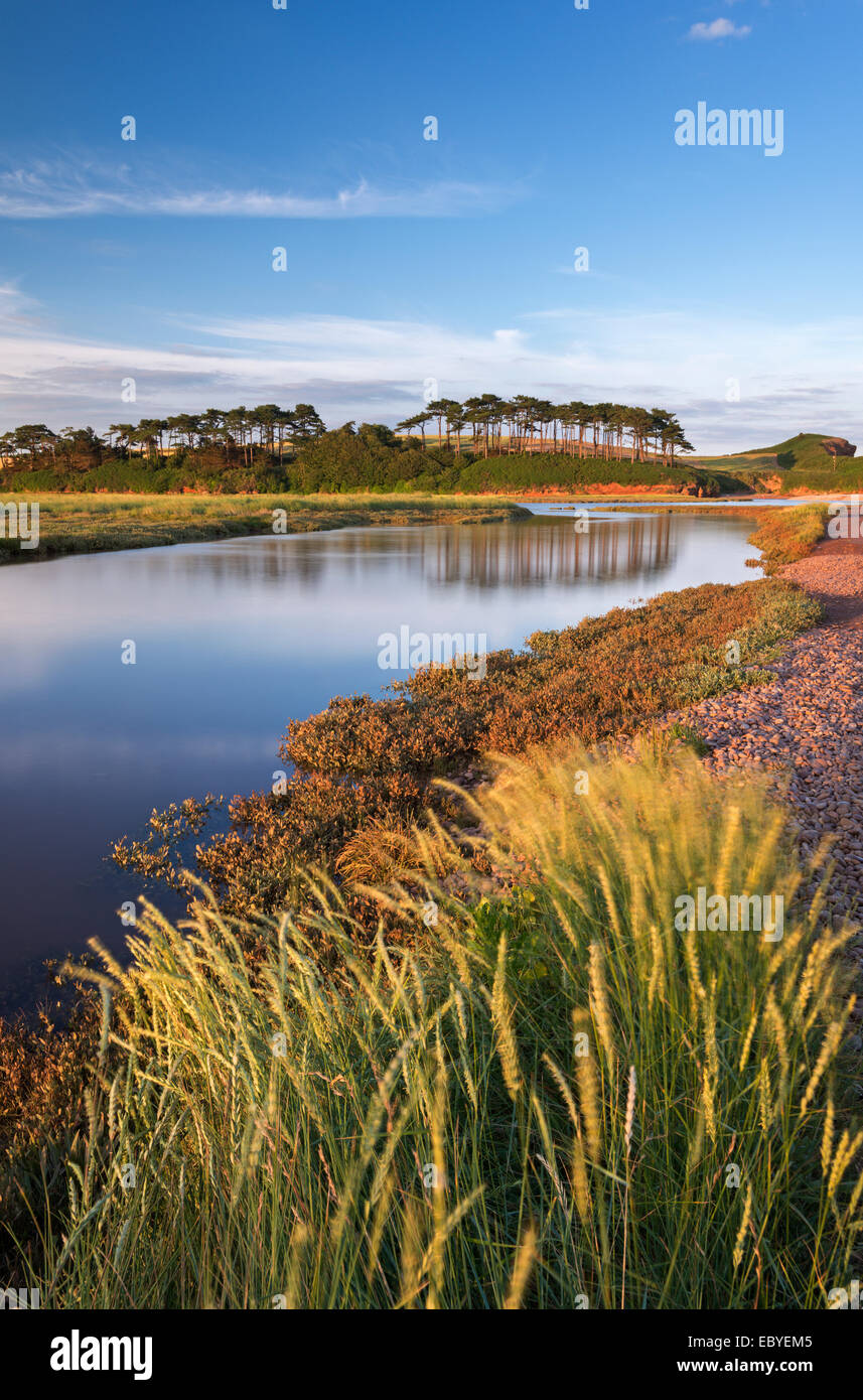 Otter Estuary at Budleigh Salterton, Devon, England. Summer (July) 2014 ...