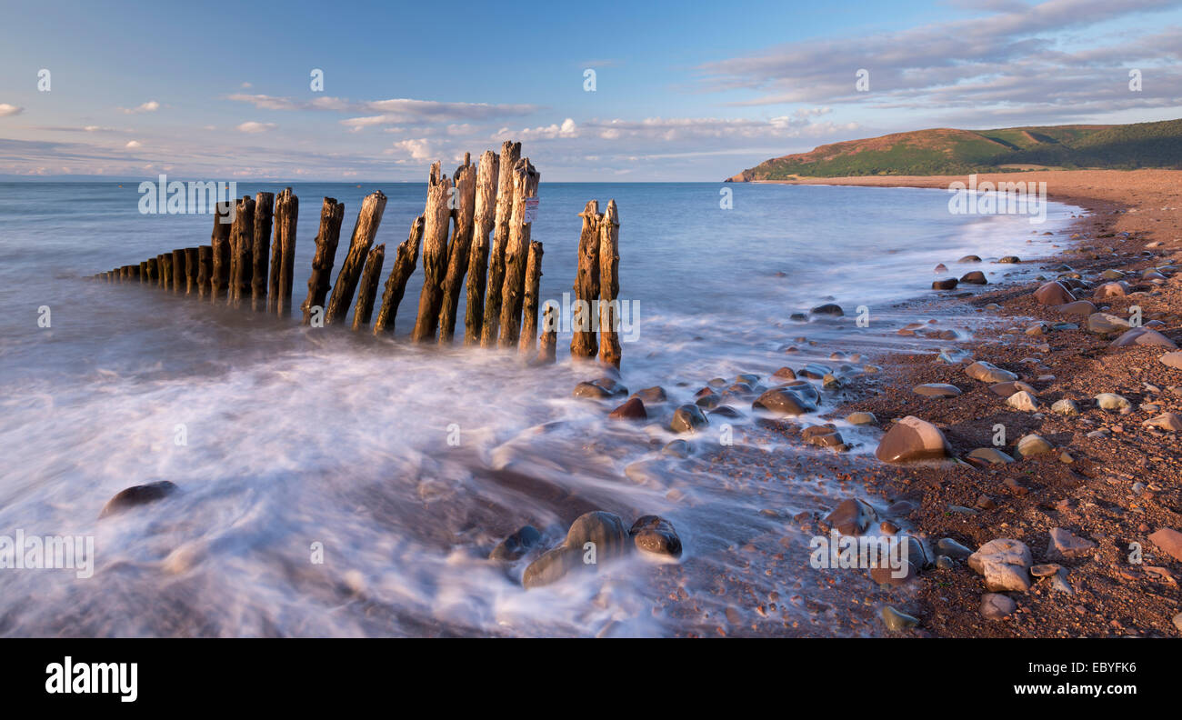 Wooden sea defences at Porlock Bay in Exmoor National Park, Somerset ...