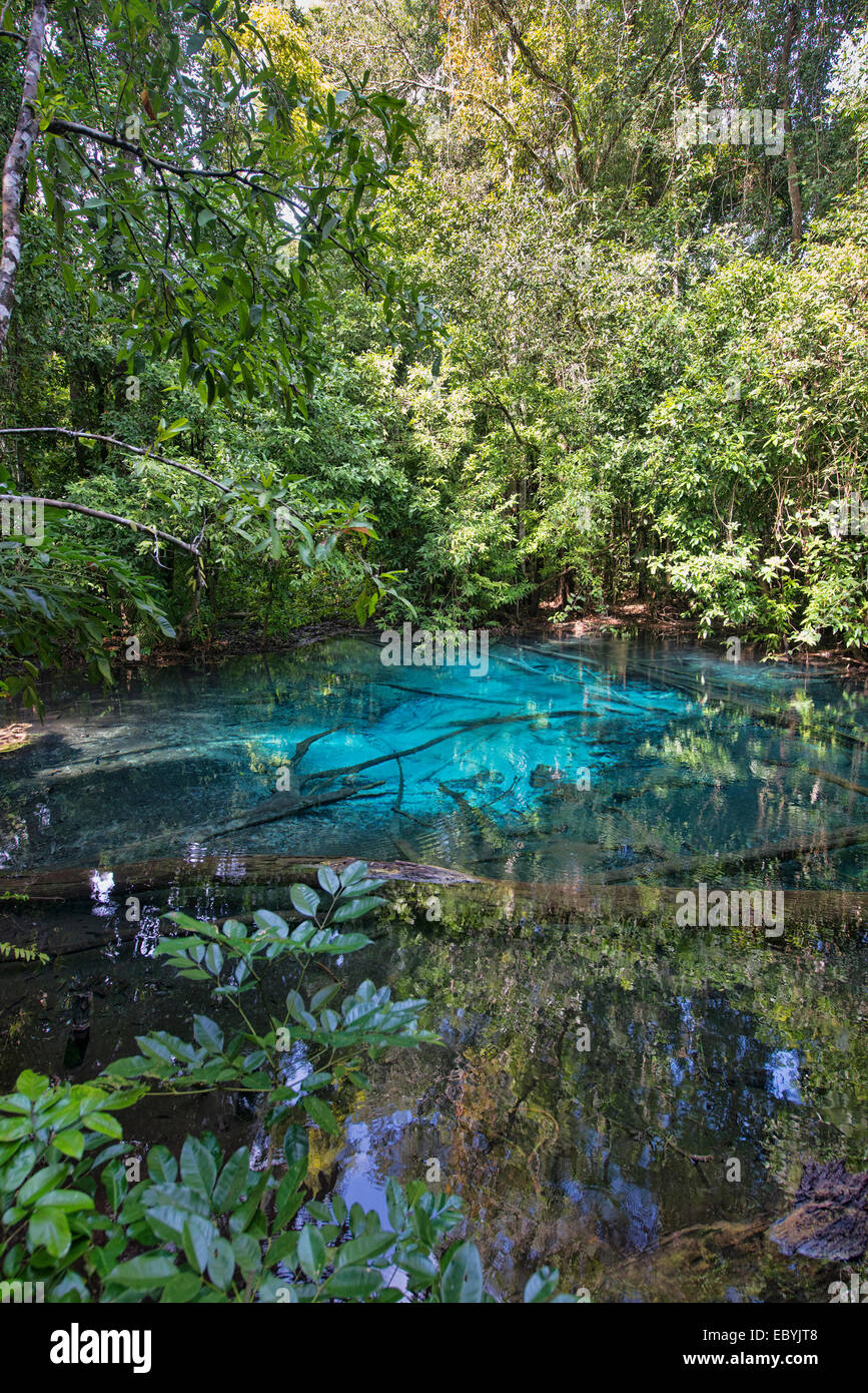 The Blue Crystal pool at the Sa Morakot Emerald Pool in Krabi, Thailand ...