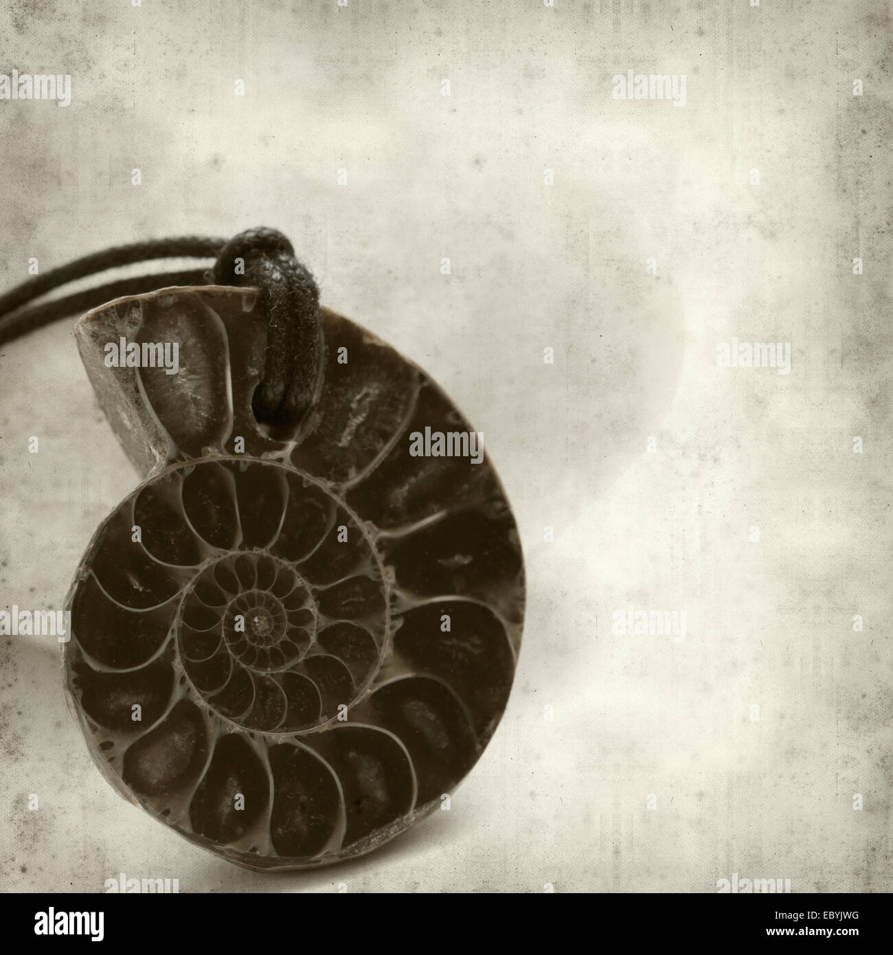 textured old paper background with ammonite necklace Stock Photo - Alamy