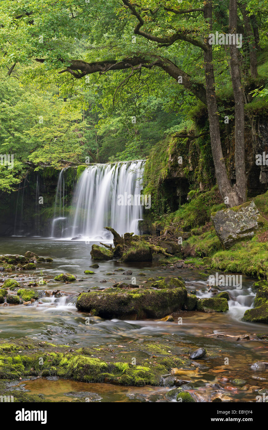 Scwd Ddwli waterfall on the Nedd Fechan River near Ystradfellte, Brecon ...