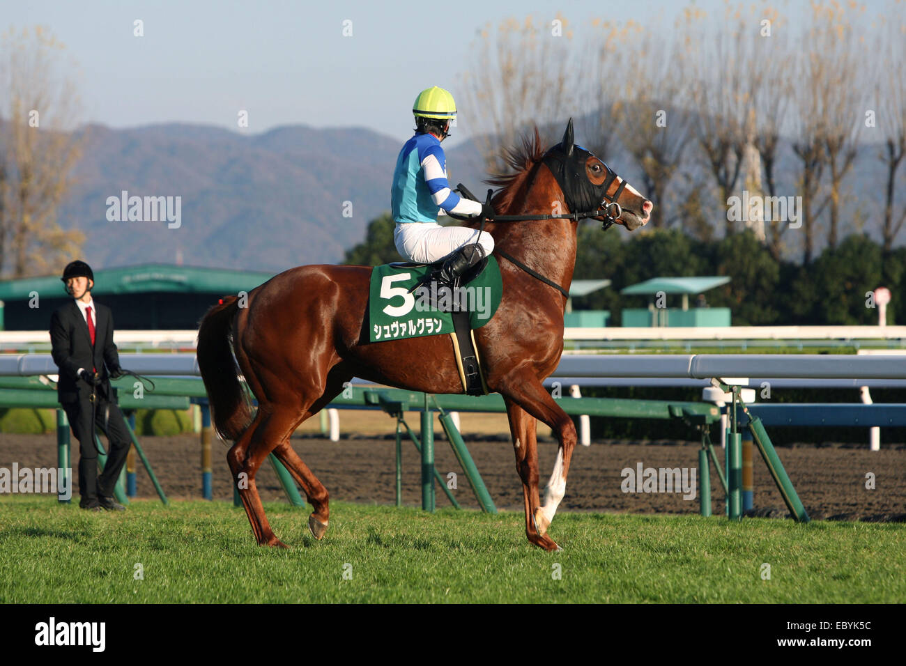 Kyoto, Japan. 29th Nov, 2014. Cheval Grand (Hiroyuki Uchida) Horse ...