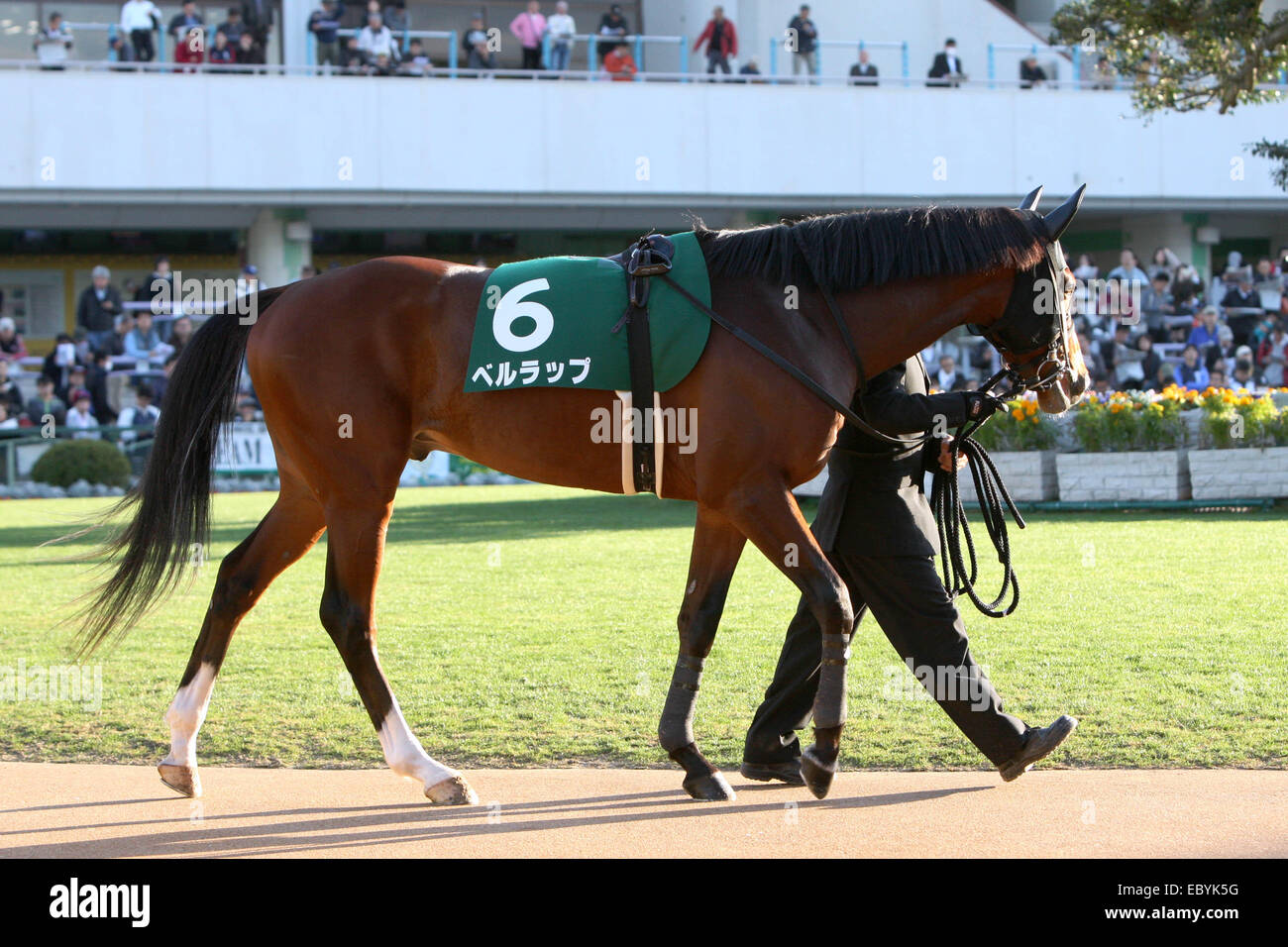 Bell lap hi-res stock photography and images - Alamy