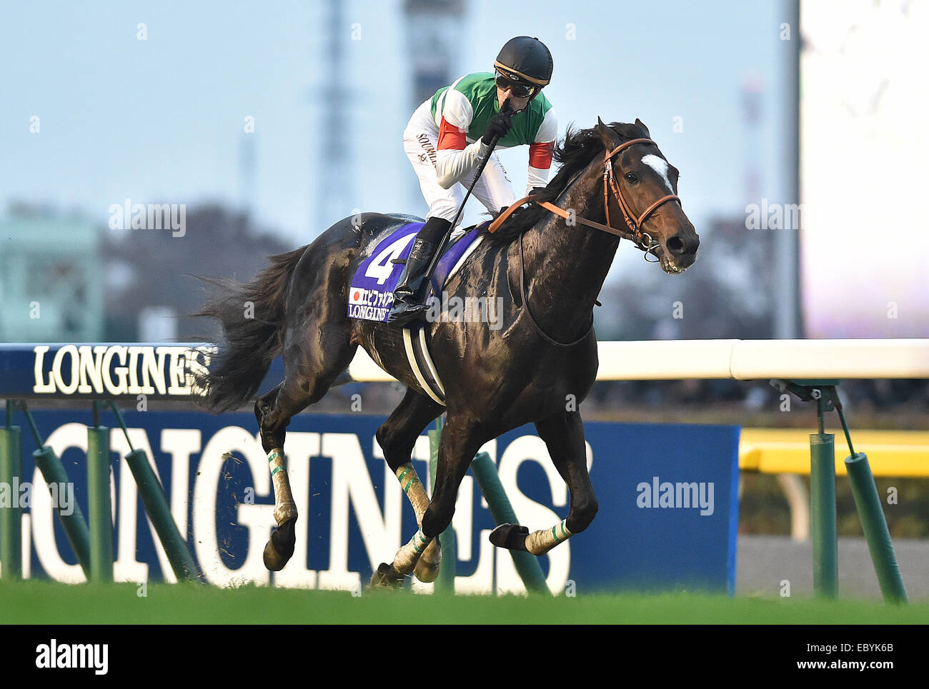 Epiphaneia japan cup hi-res stock photography and images - Alamy