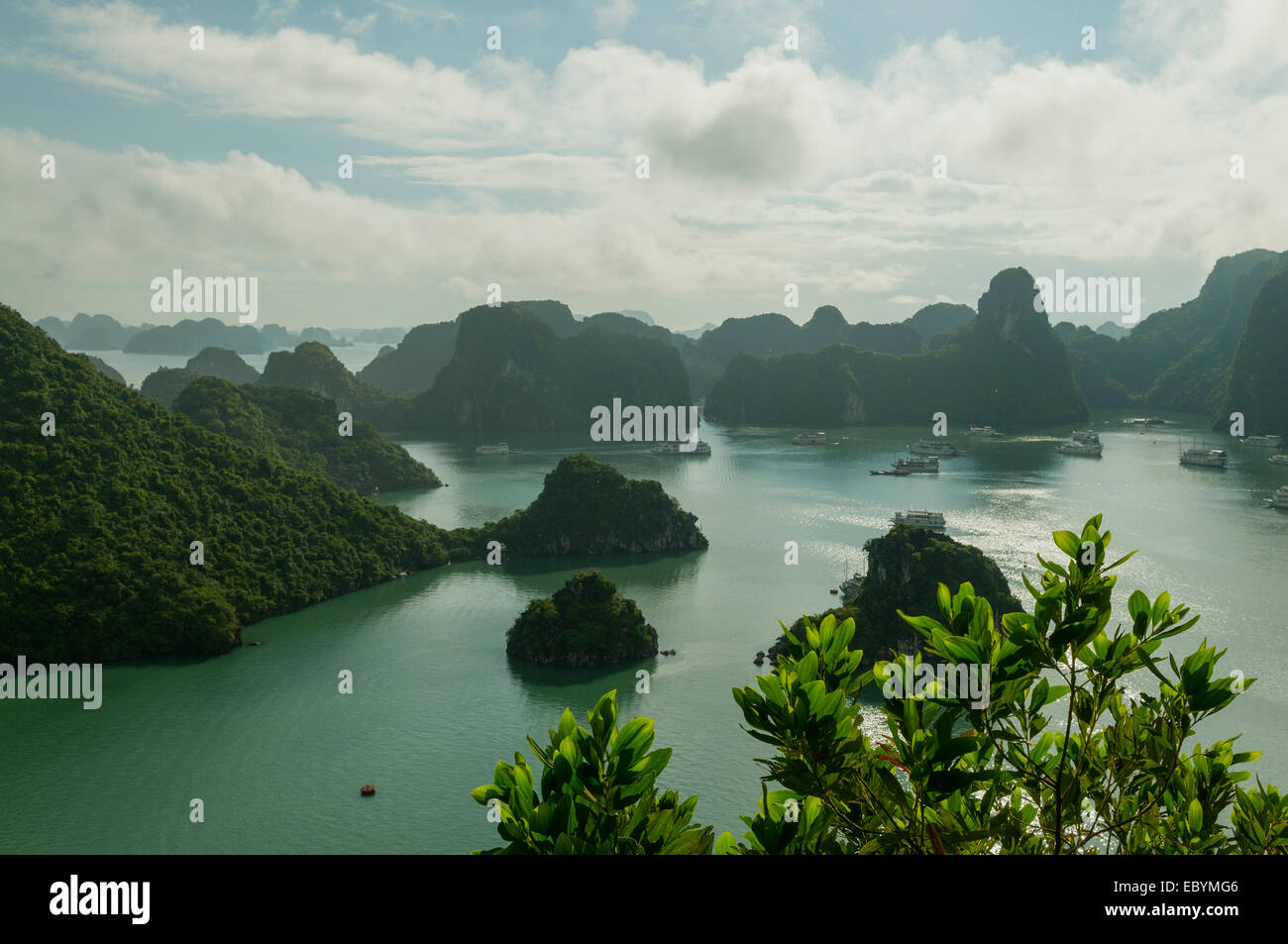 Halong Bay from Ti Top Island, Vietnam Stock Photo - Alamy