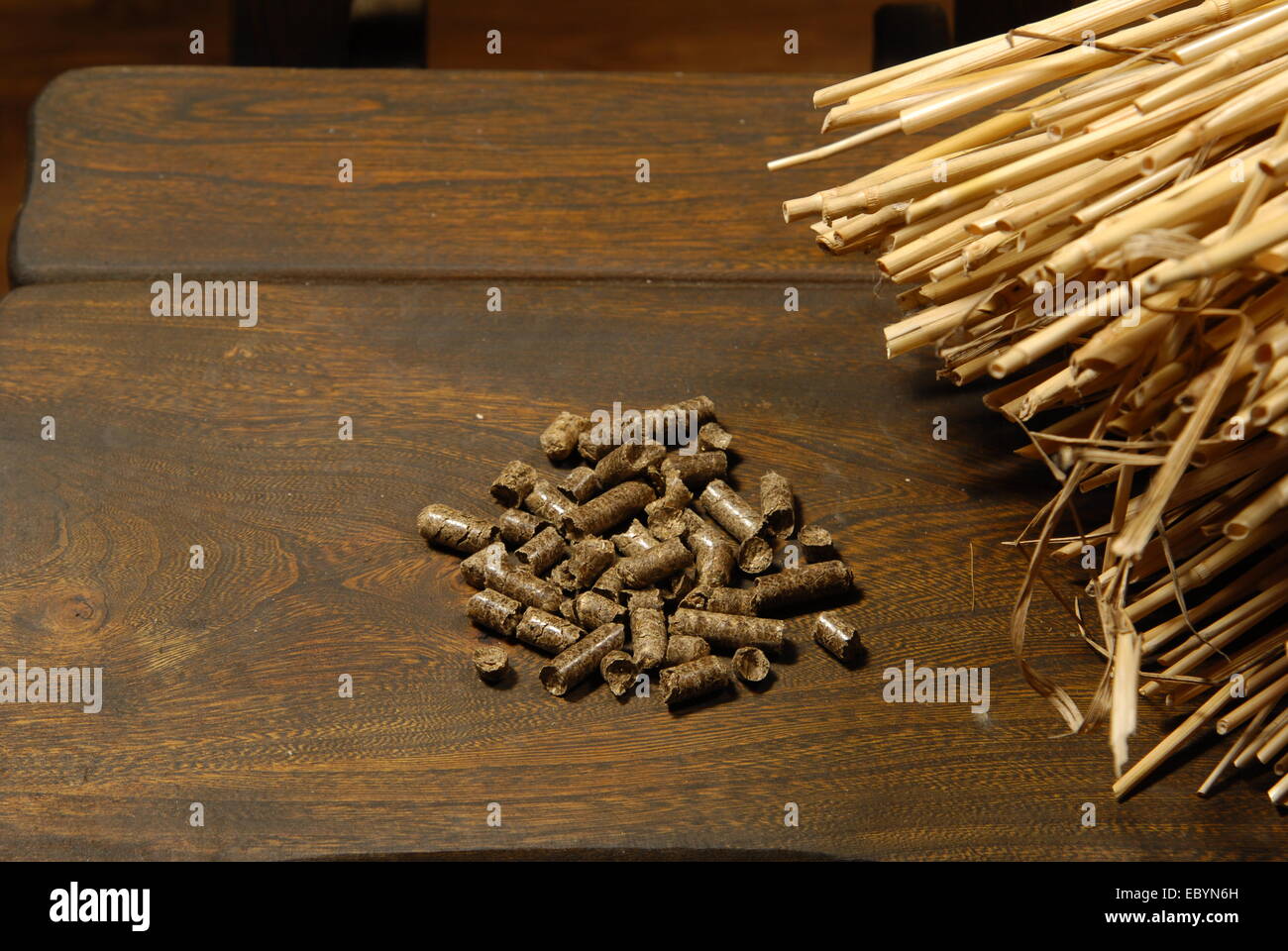 Biomas hi-res stock photography and images - Alamy