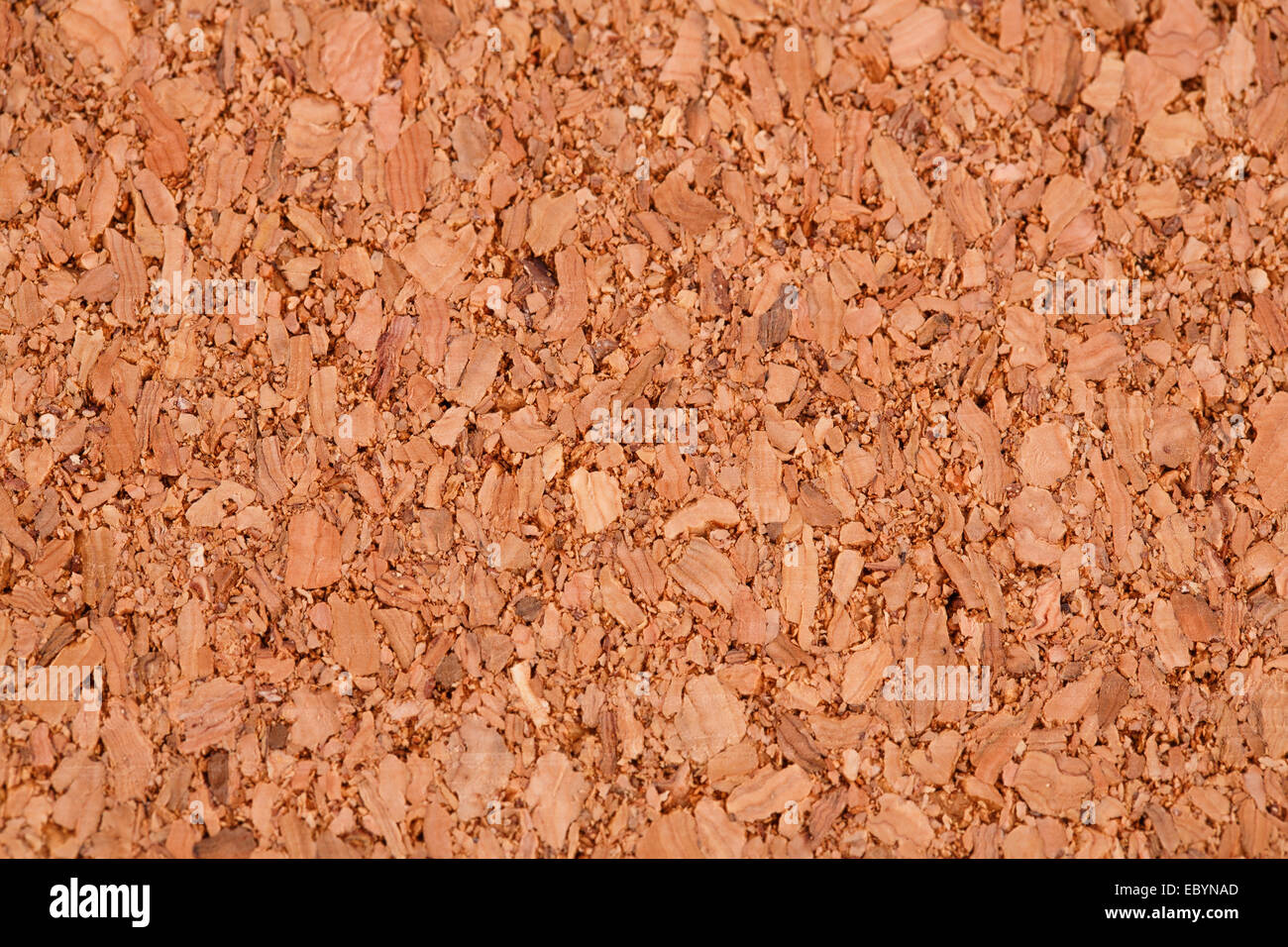Cork board texture for background, close-up image Stock Photo - Alamy